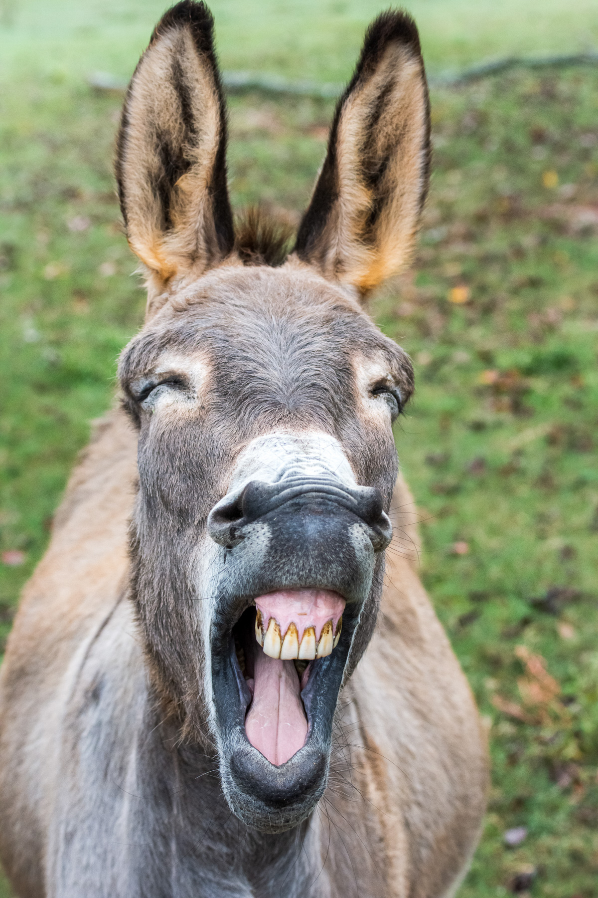 Round 33 Winners – Reaction • Photography Scavenger Hunt