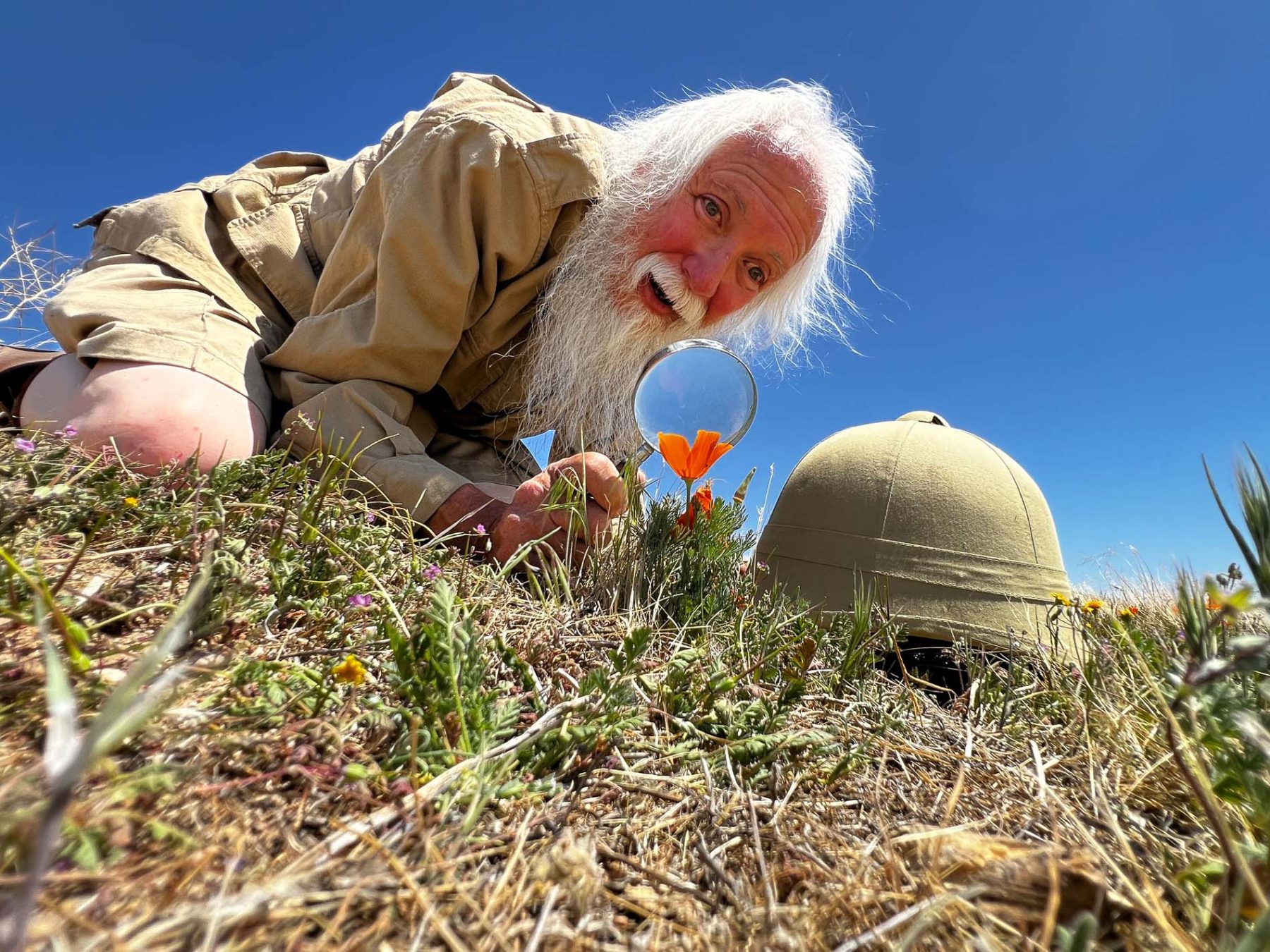 R44 Poppy Winners • Photography Scavenger Hunt