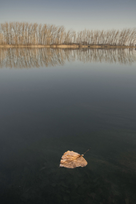 R40 Category Winners - Chosen • Photography Scavenger Hunt