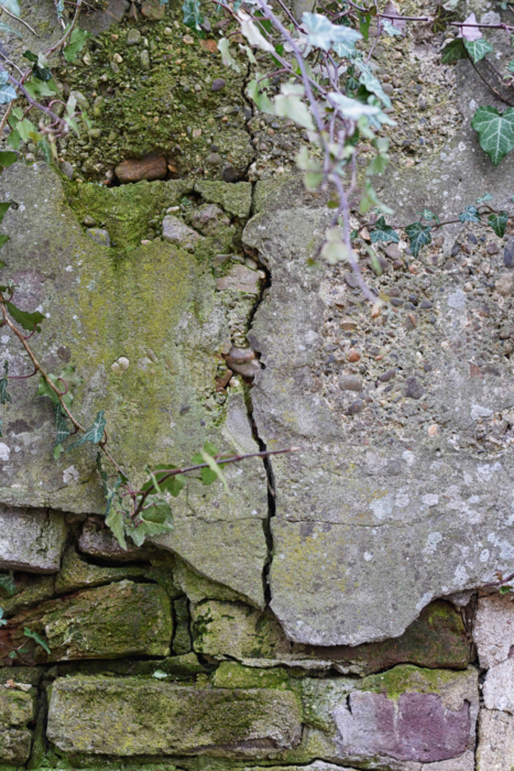 Round 34 Reveals - Crack • Photography Scavenger Hunt