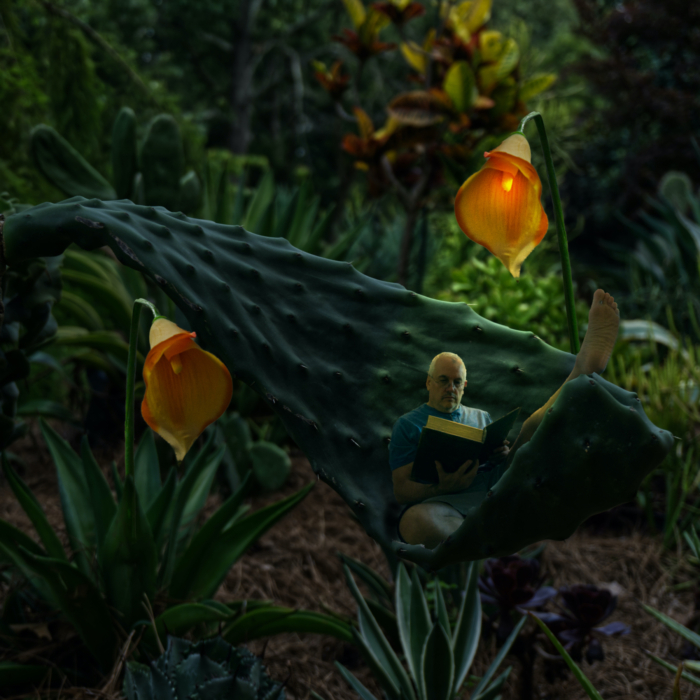 Round 32 Category Winners – Lamp • Photography Scavenger Hunt