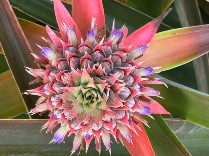 R40 Category Winners - POP • Photography Scavenger Hunt