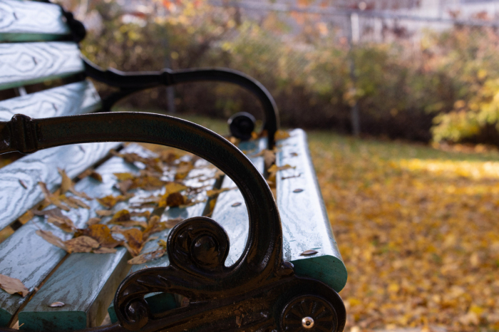 Round 36 Reveals - Seated • Photography Scavenger Hunt