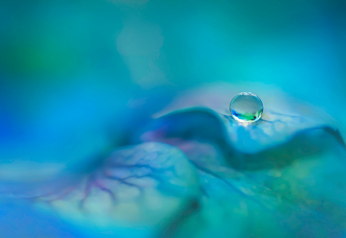 Round 36 Reveals - Seated • Photography Scavenger Hunt