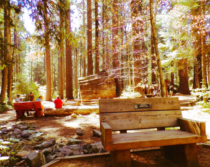 Round 36 Reveals - Seated • Photography Scavenger Hunt