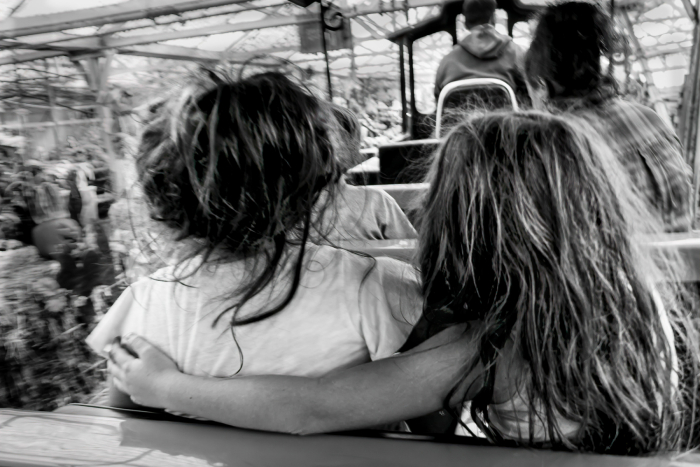 Round 36 Reveals - Seated • Photography Scavenger Hunt