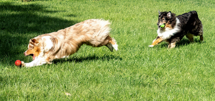 Round 36 Reveals - Therapy • Photography Scavenger Hunt