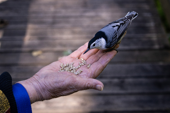 Round 36 Reveals - Therapy • Photography Scavenger Hunt