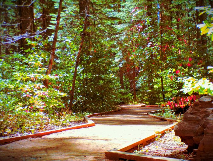 Round 36 Reveals - Therapy • Photography Scavenger Hunt