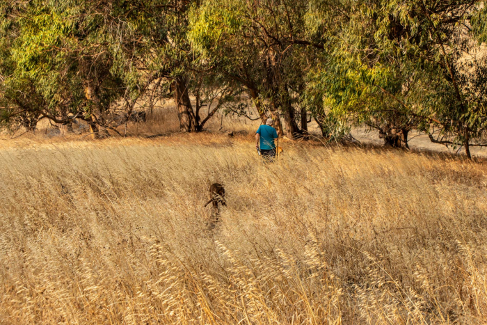 Round 36 Reveals - Therapy • Photography Scavenger Hunt